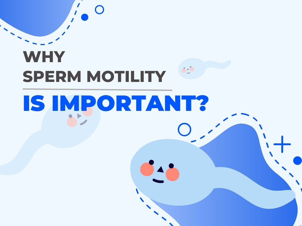 Healthy Sperm: The Importance of Sperm Motility for Fertility | US ...